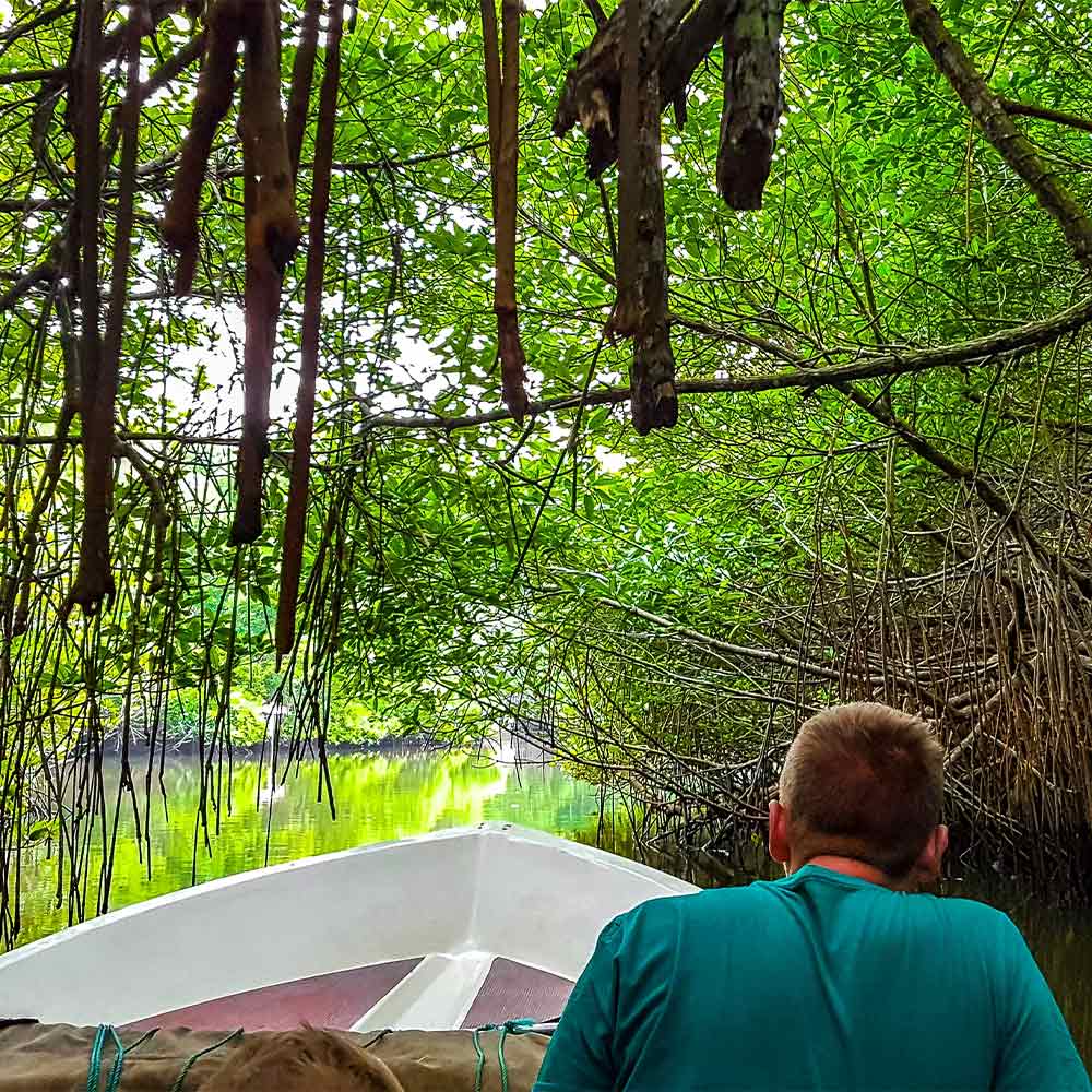 Bentota escapes | The Honeymoon Guide | Adventures in Bentota