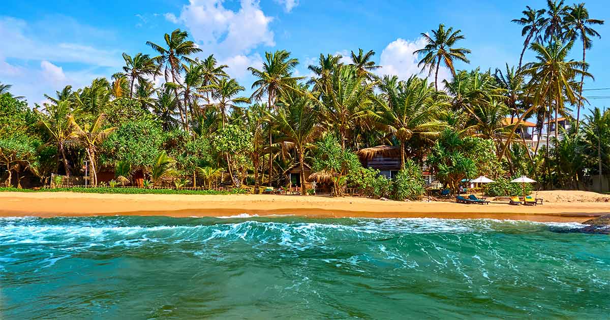 Bentota escapes | The Honeymoon Guide | Adventures in Bentota