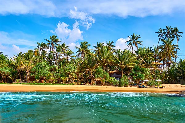 Things to do in Bentota | The Honeymoon Guide | A Beach City