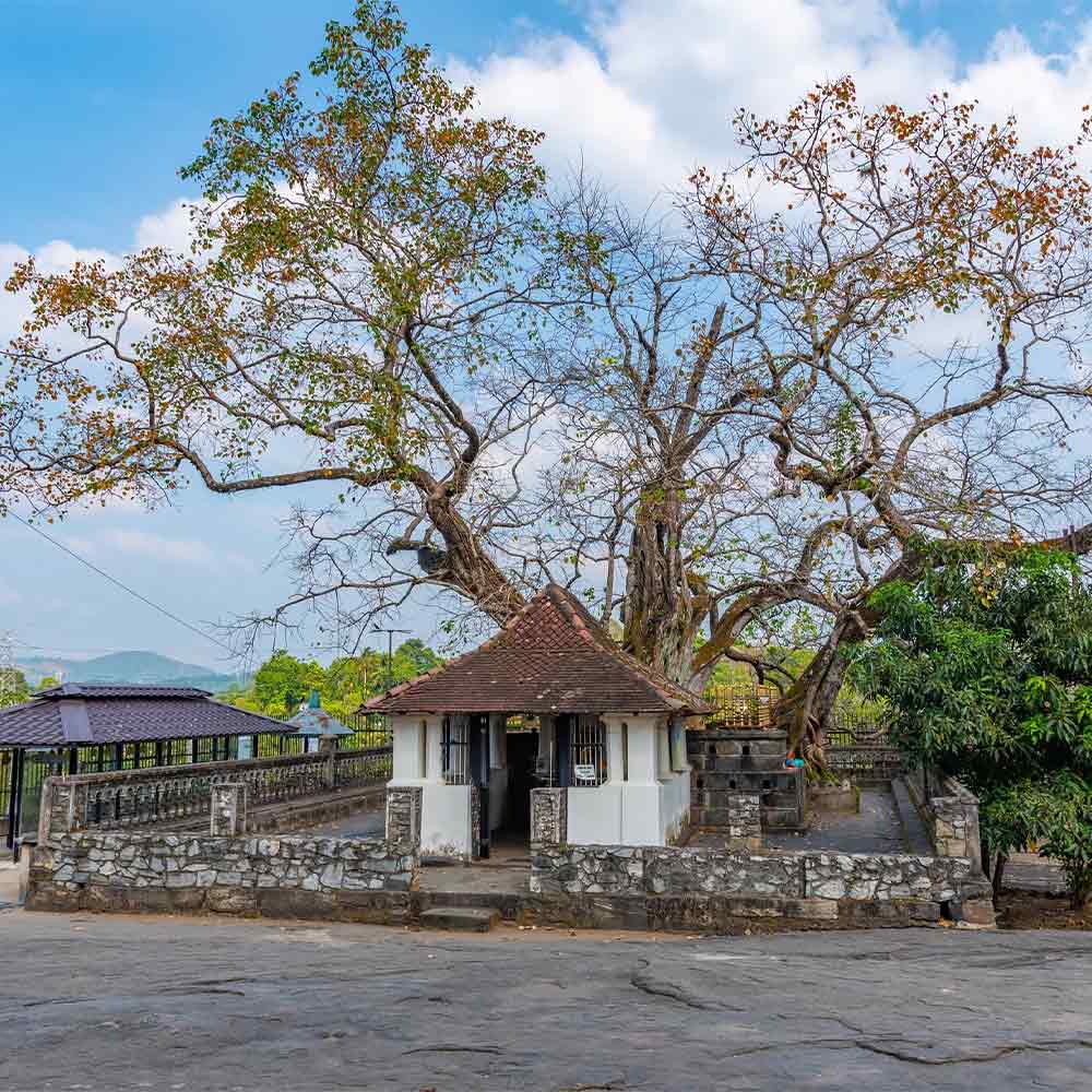 Sacred Kandy | The Honeymoon Guide | Sacred Temples in Kandy