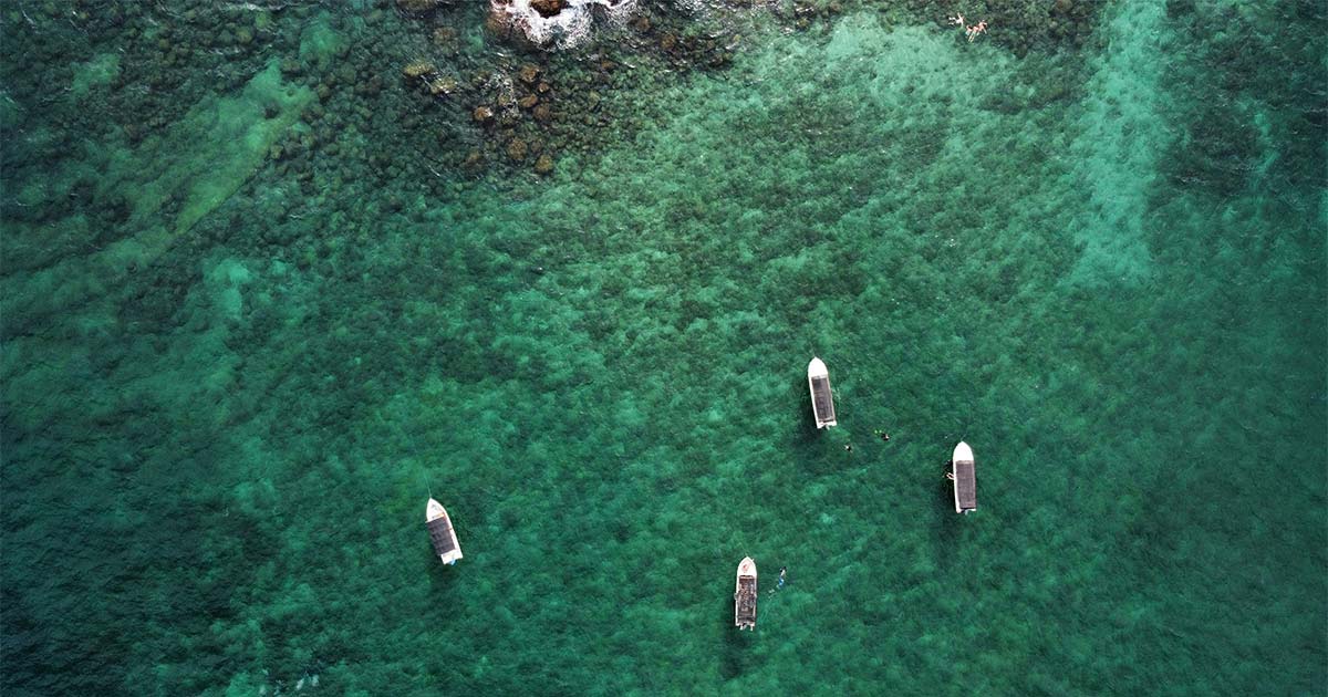 Hikkaduwa Corals | The Honeymoon Guide | Glass Bottom Boat Ride