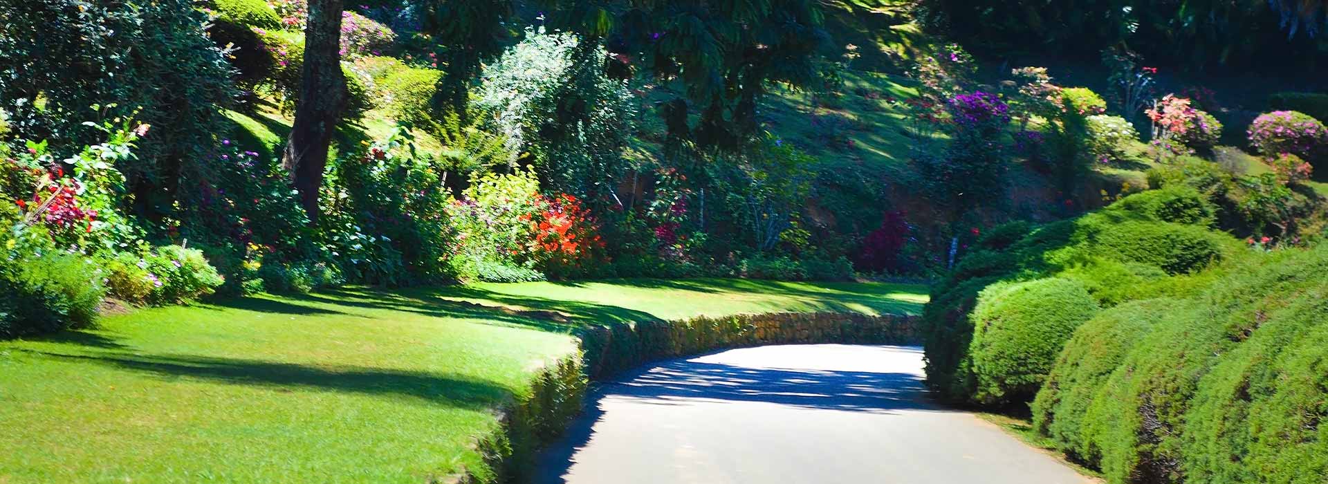 Hakgala Garden | The Honeymoon Guide | Flower Garden in Nuwara Eliya