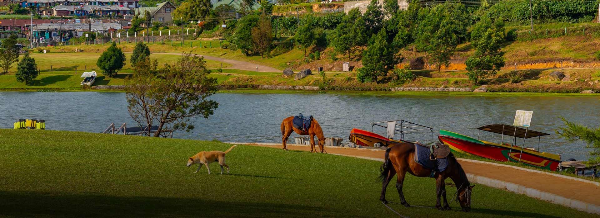 Lake Gregory Nuwara Eliya | The Honeymoon Guide | Park in Nuwara Eliya