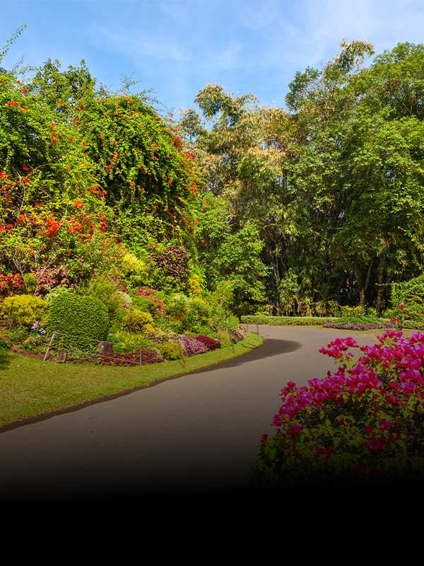 Places in Kandy | The Honeymoon Guide | Places to Visit in Kandy