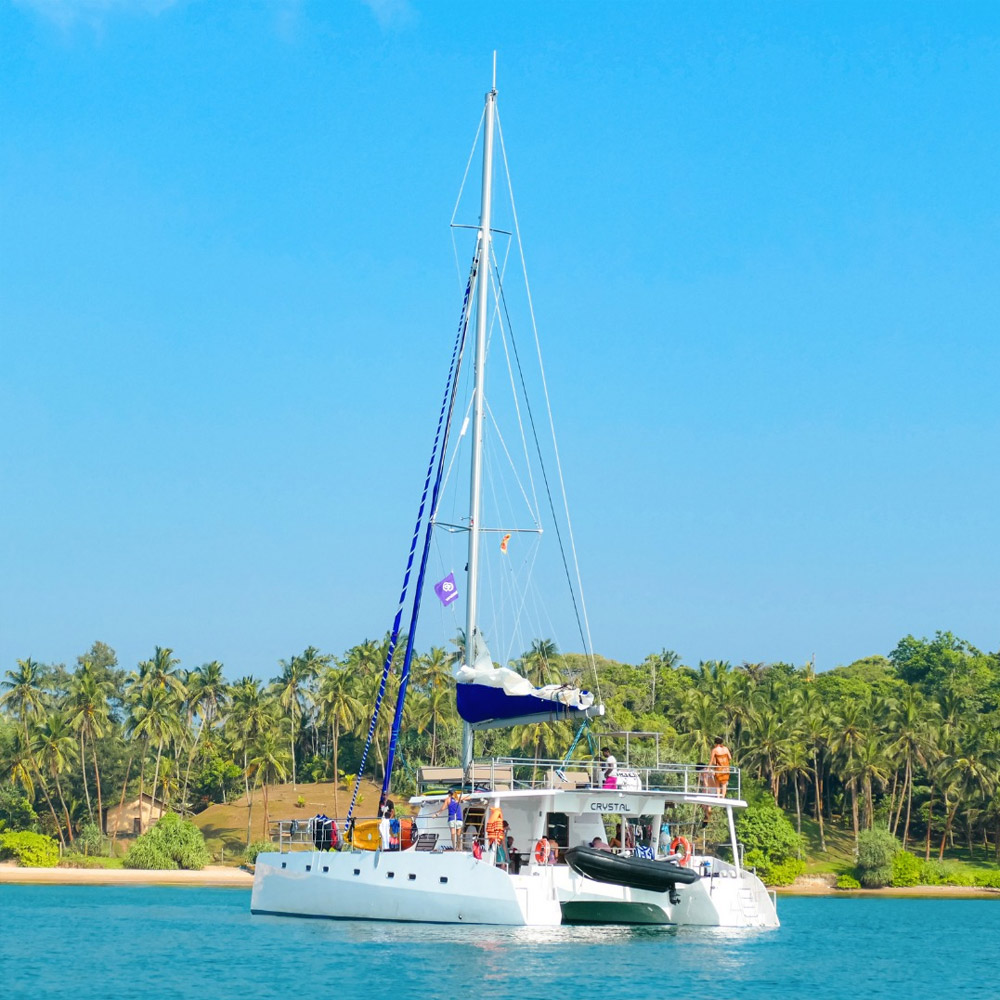 The Best Honeymoon Experiences in Sri Lanka | The Honeymoon Guide