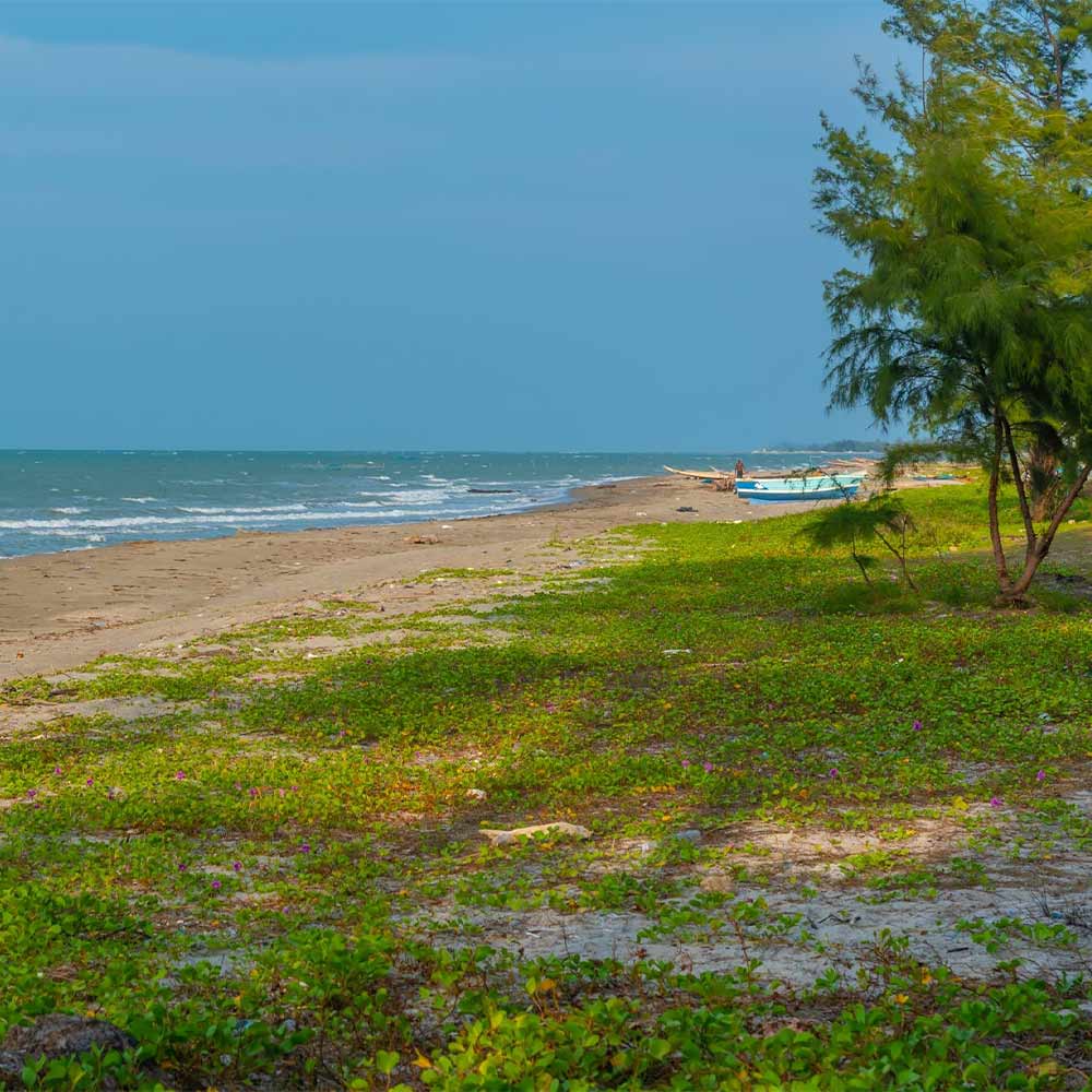 Best Beaches in Jaffna | The Honeymoon Guide | Northern Beach Gems