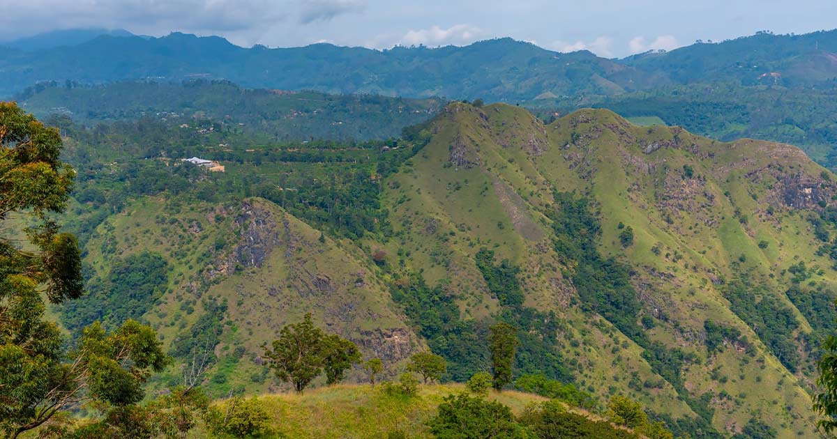 Little Adams Peak | The Honeymoon Guide | Sunset Viewpoint in Ella