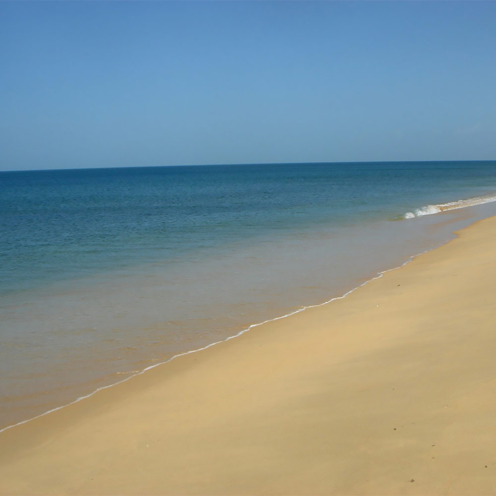 Best Beaches in Jaffna | The Honeymoon Guide | Northern Beach Gems
