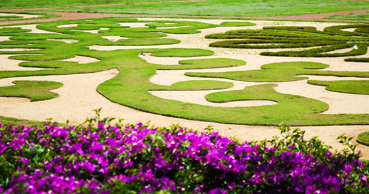 Mirijjawila Botanical Garden | The Honeymoon Guide | Dry Zone