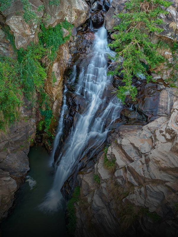 Things to do in Sri Lanka | The Honeymoon Guide | Magical Exploration