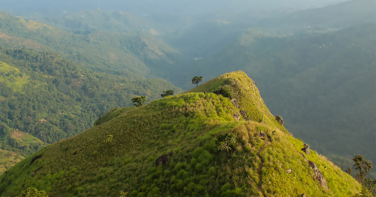 Things to do in Ella | The Honeymoon Guide | Magical Ella Adventures