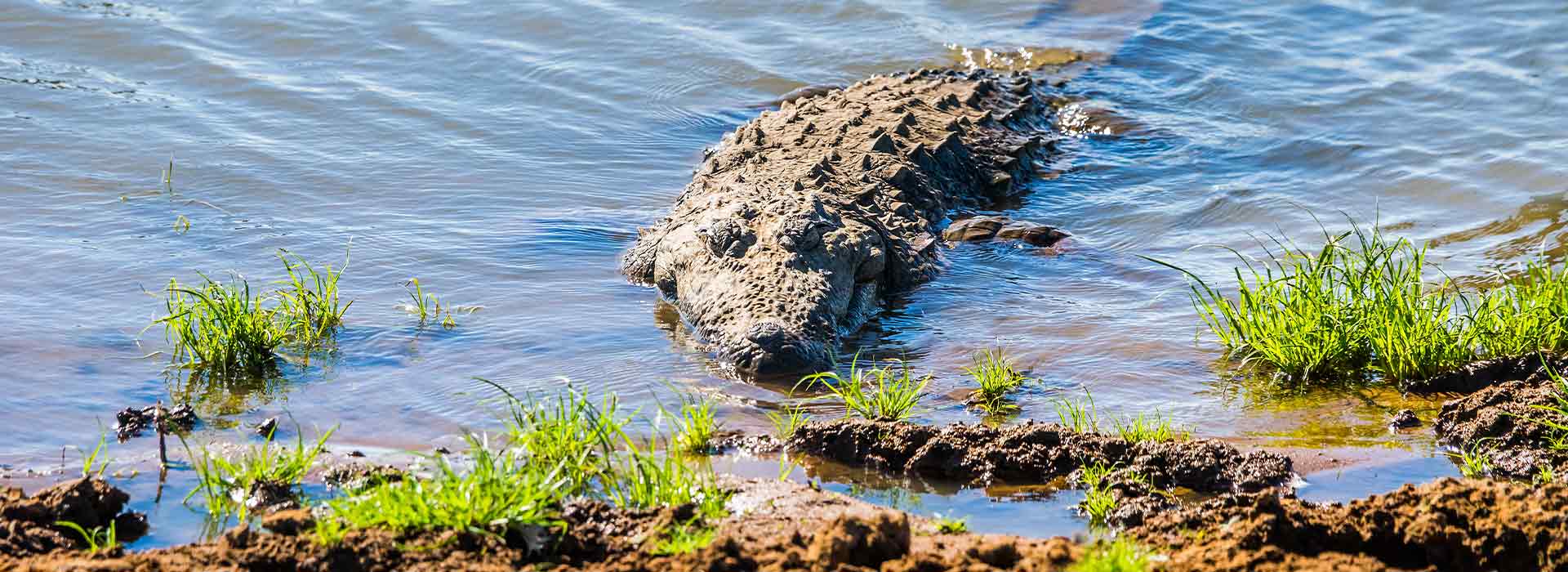 Kalametiya Lagoon | THE Honeymoon Guide | Bird Sanctuary in Tangalle