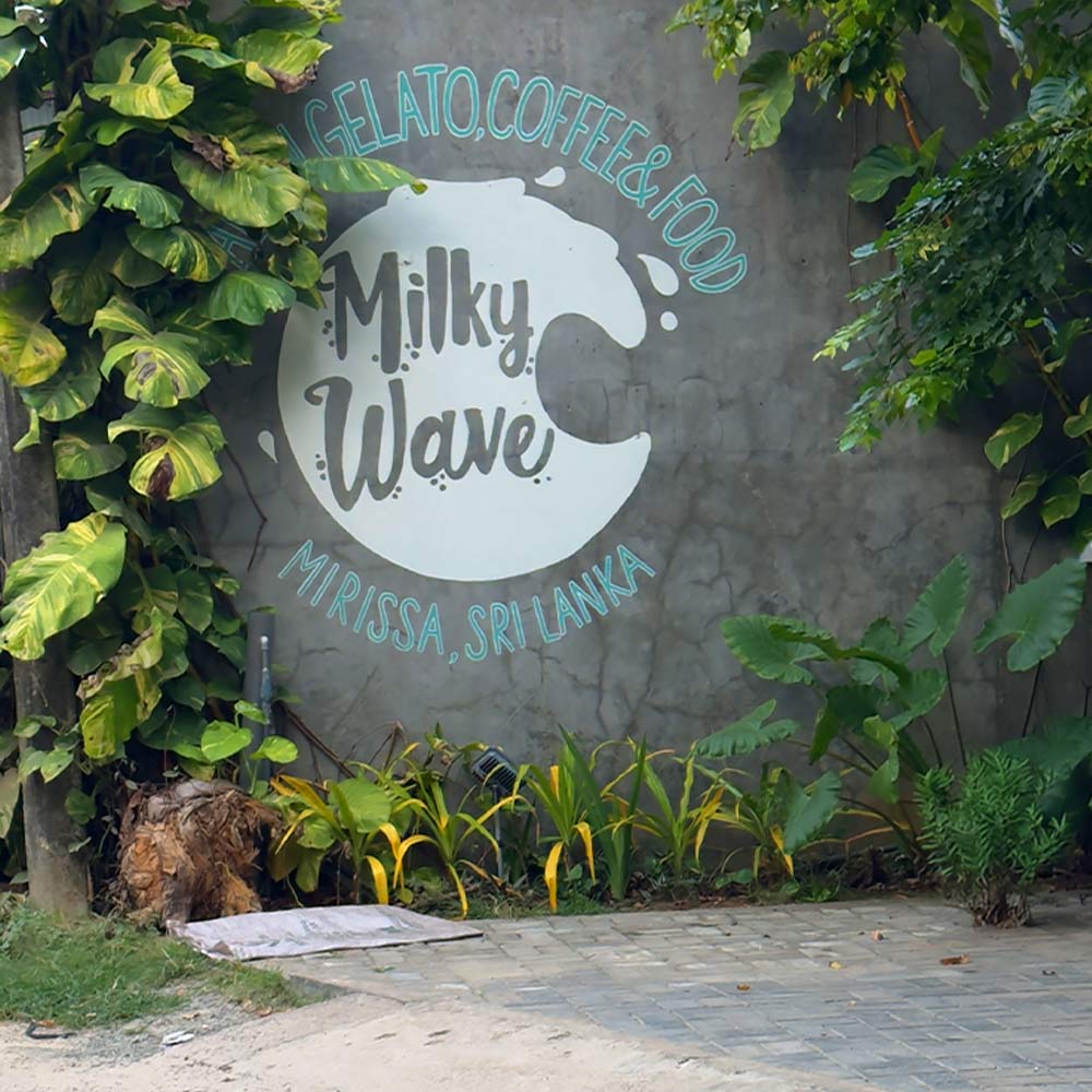 Mirissa’s Best Restaurants | The Honeymoon Guide | Cafes in Mirissa
