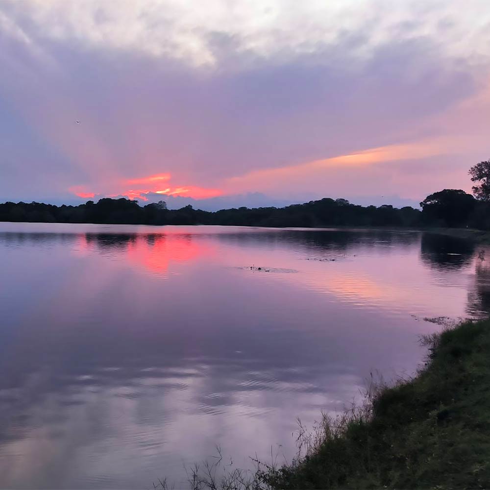Arugam Bay | The Honeymoon Guide | A Day Trip from Yala